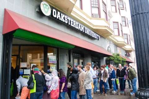 Cannabis History: The Legacy of Oaksterdam University and the Cannabis ...